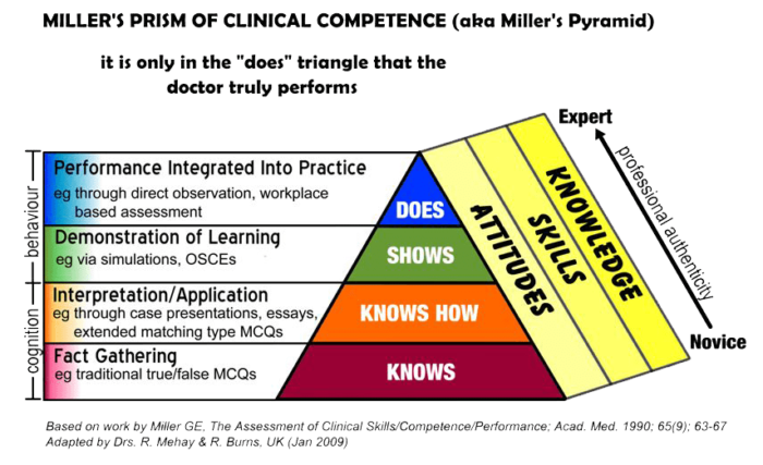 Miller’s hierarchy of learning – NICHE International